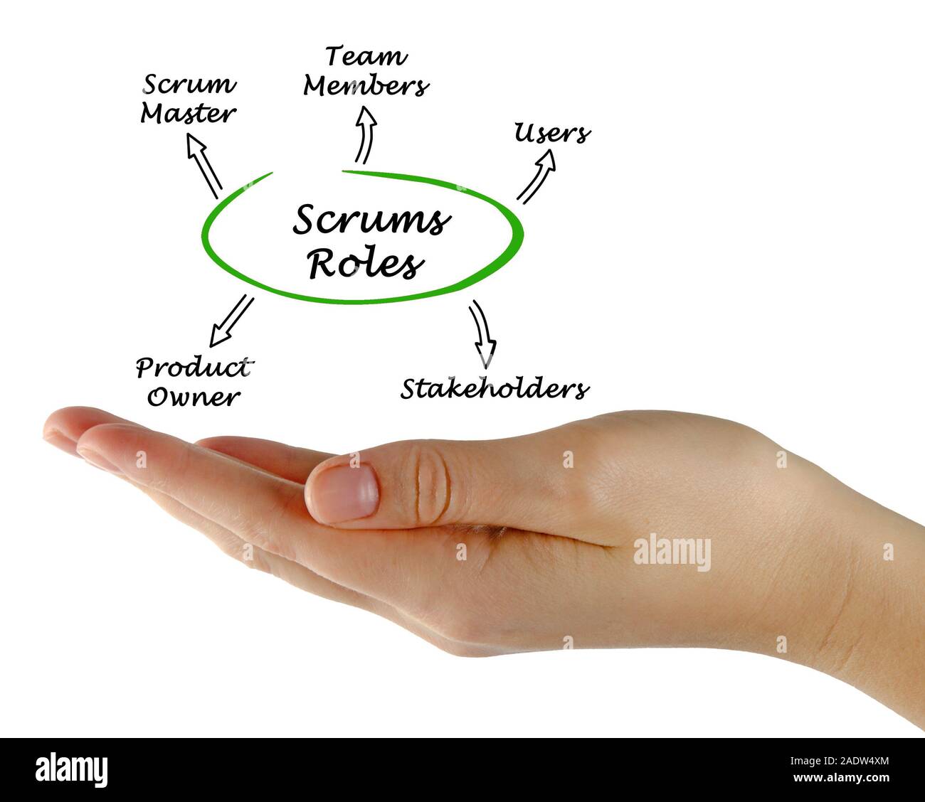 Five Scrums Roles Stock Photo - Alamy