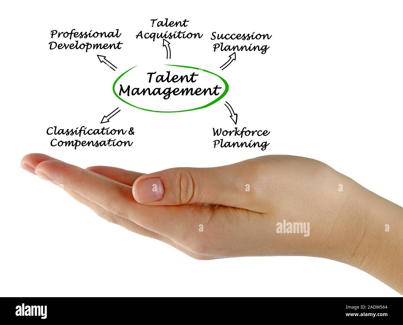 Talent management hi-res stock photography and images - Alamy