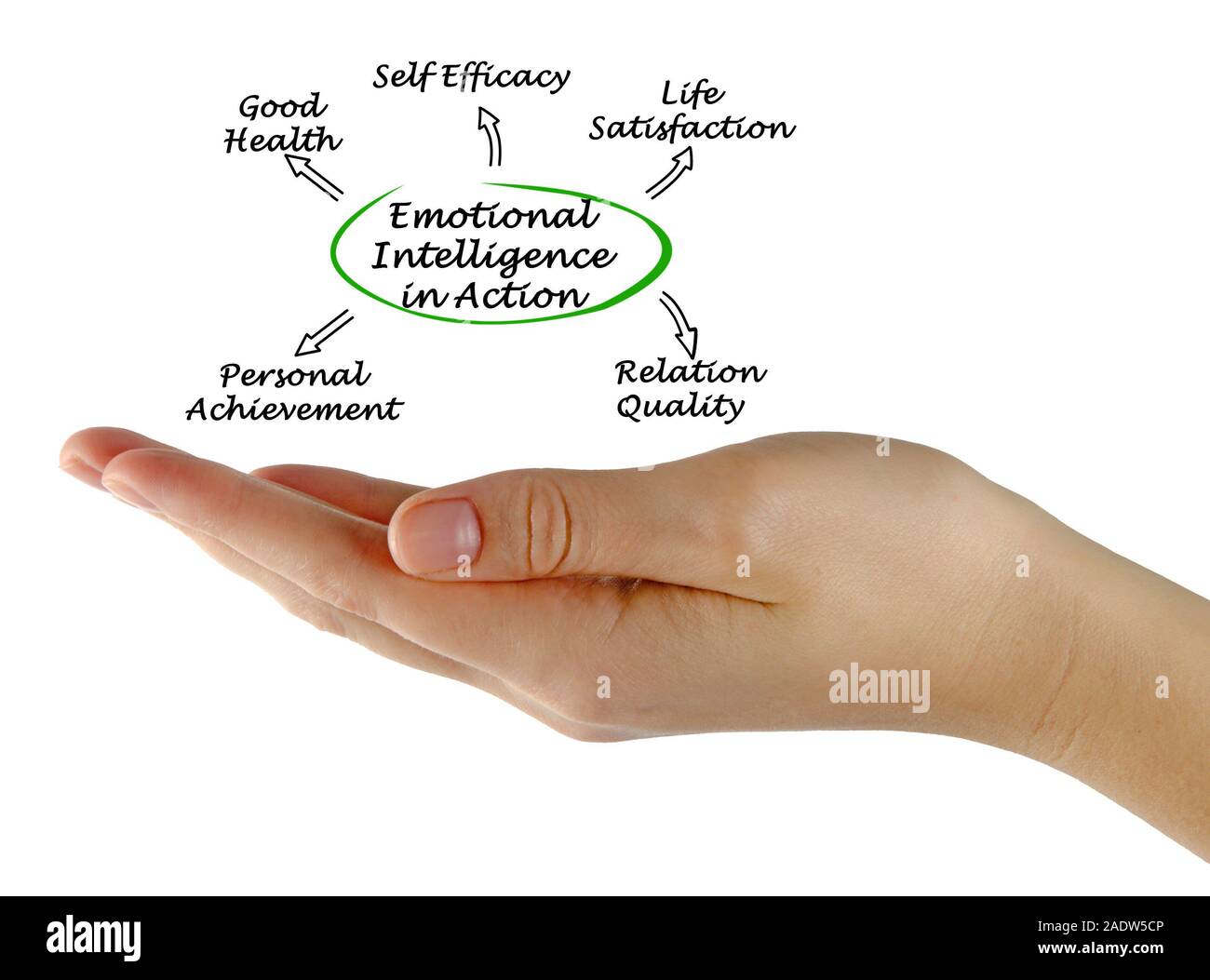 Life in action Cut Out Stock Images & Pictures - Alamy