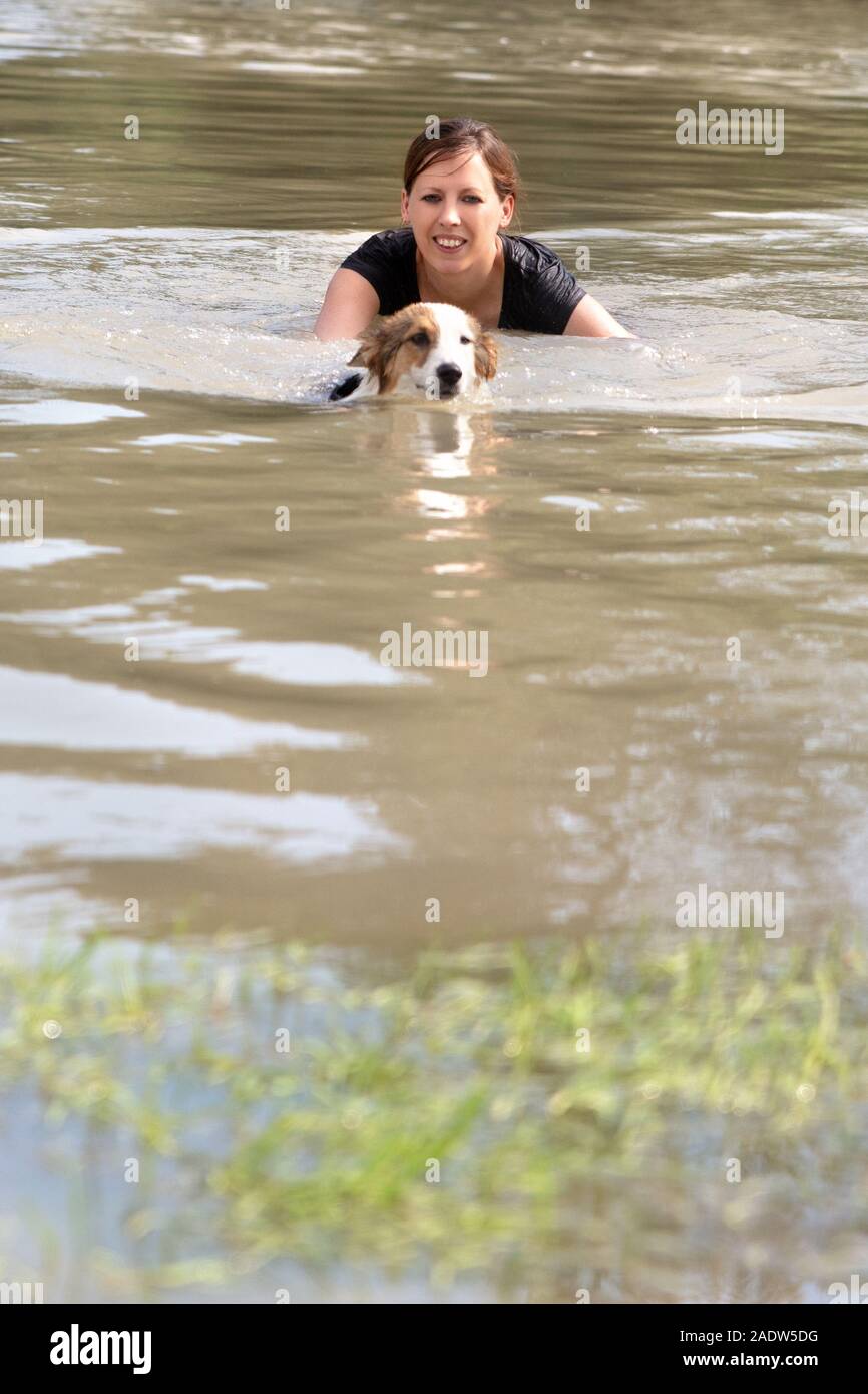 Woman and young dog swimming into a river, water rescue dog trainee and ...