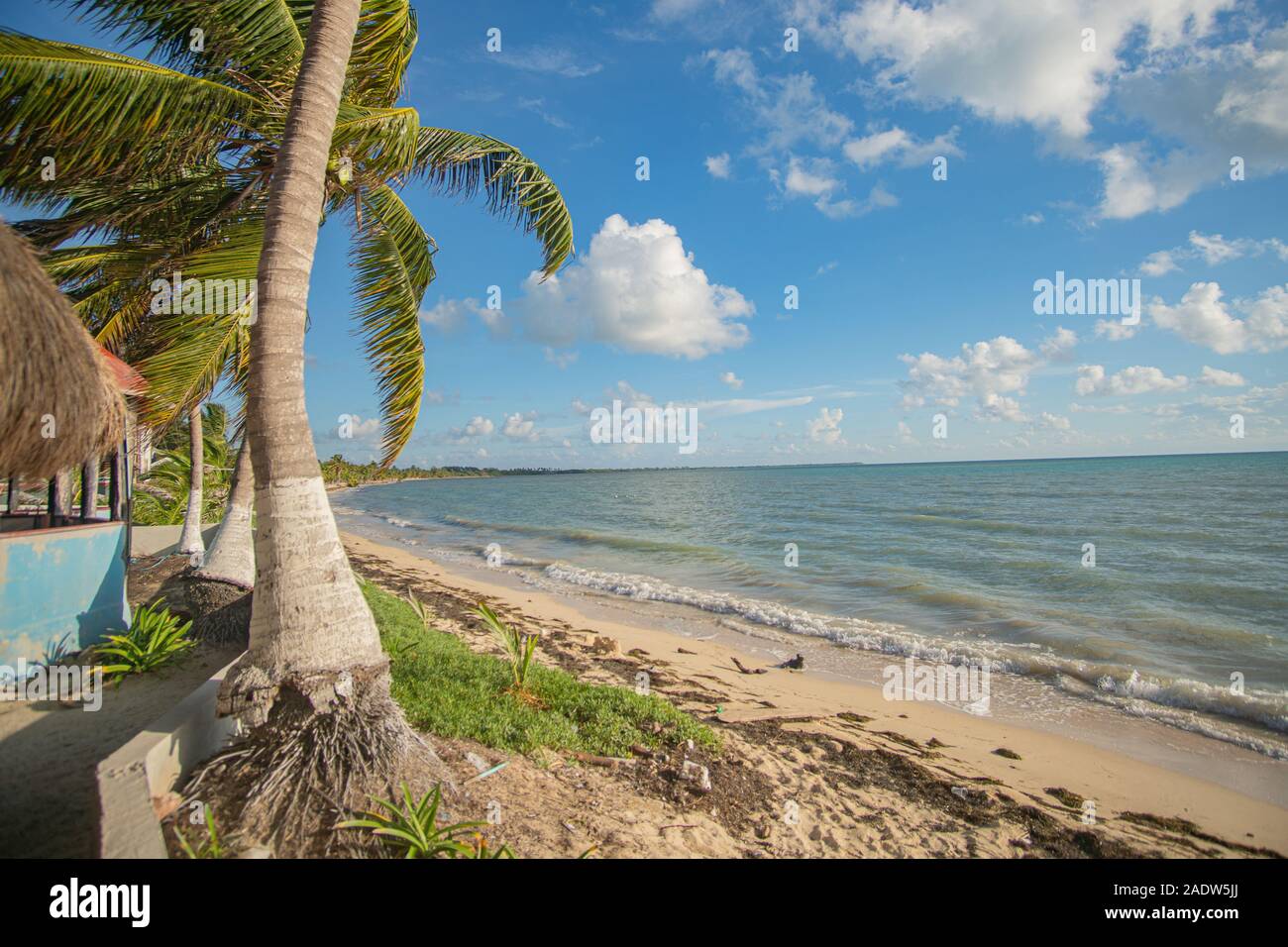 Heavenly Beach in Punta Allen at the caribbean Sea Stock Photo - Alamy