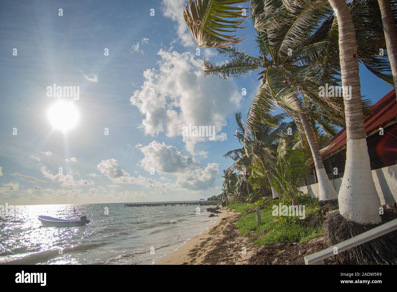 Heavenly Beach in Punta Allen at the caribbean Sea Stock Photo - Alamy