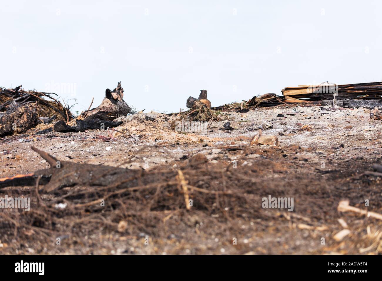 landscape after a forest or bush fire Stock Photo - Alamy