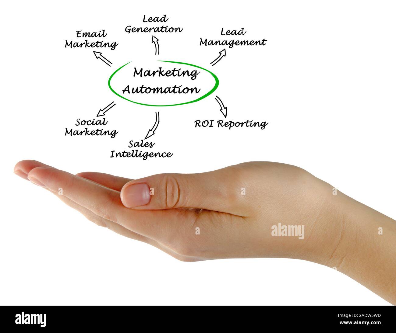 Sales and marketing automation hi-res stock photography and images - Alamy