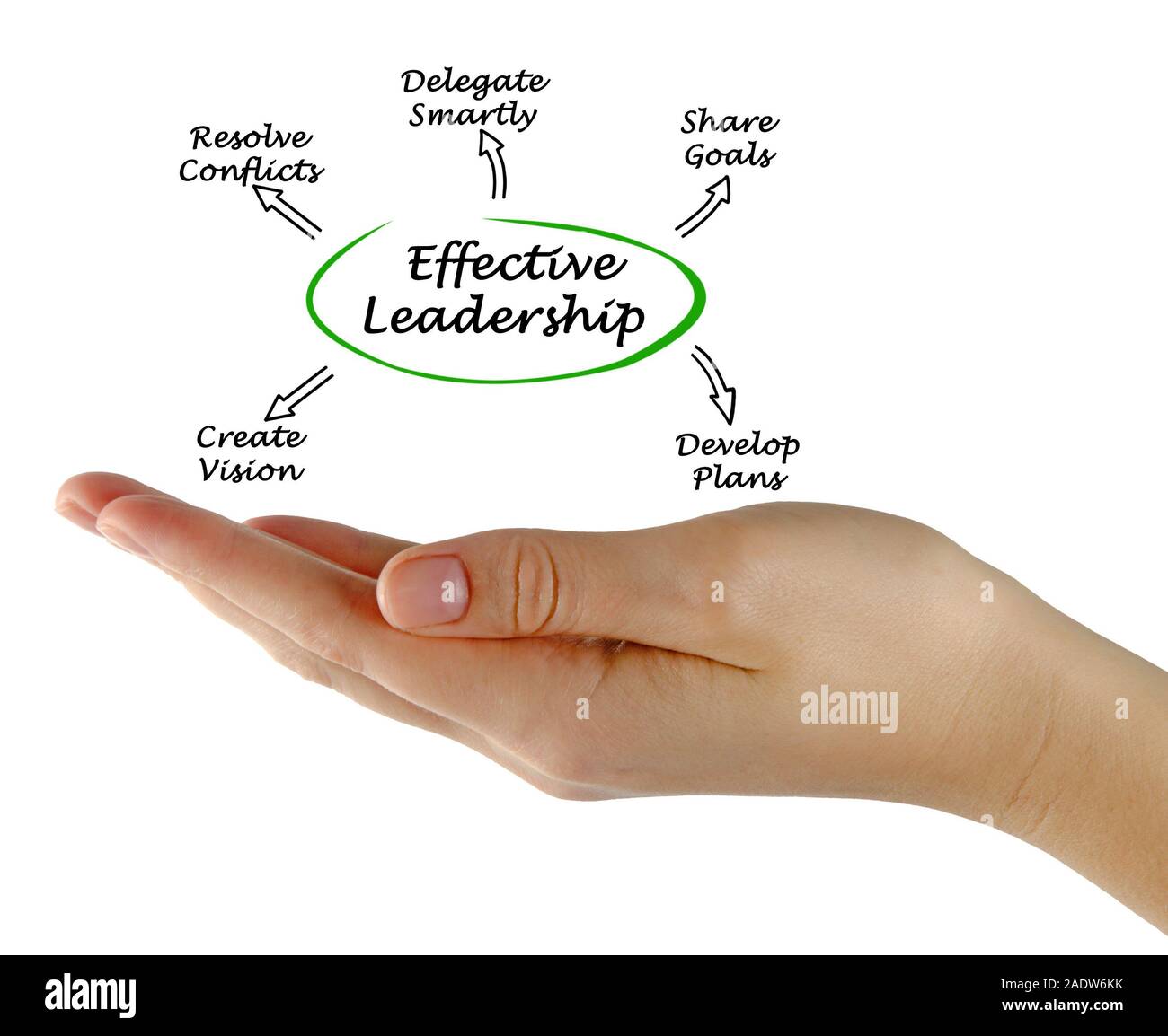 Effective leader Cut Out Stock Images & Pictures - Alamy