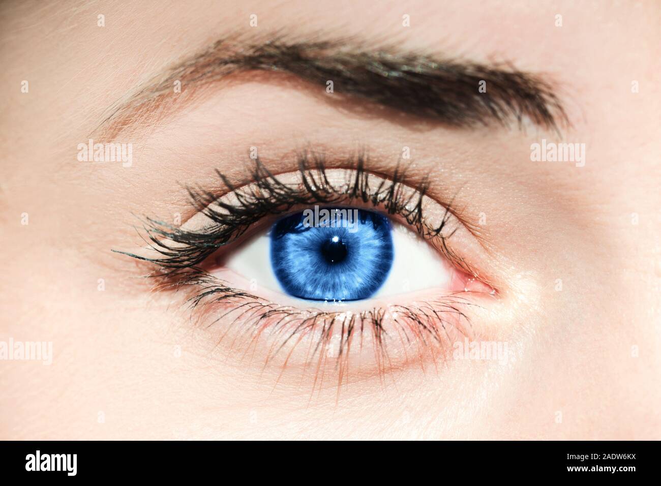 Blue eye. Inspired by color of the year 2020. Pantone Stock Photo - Alamy
