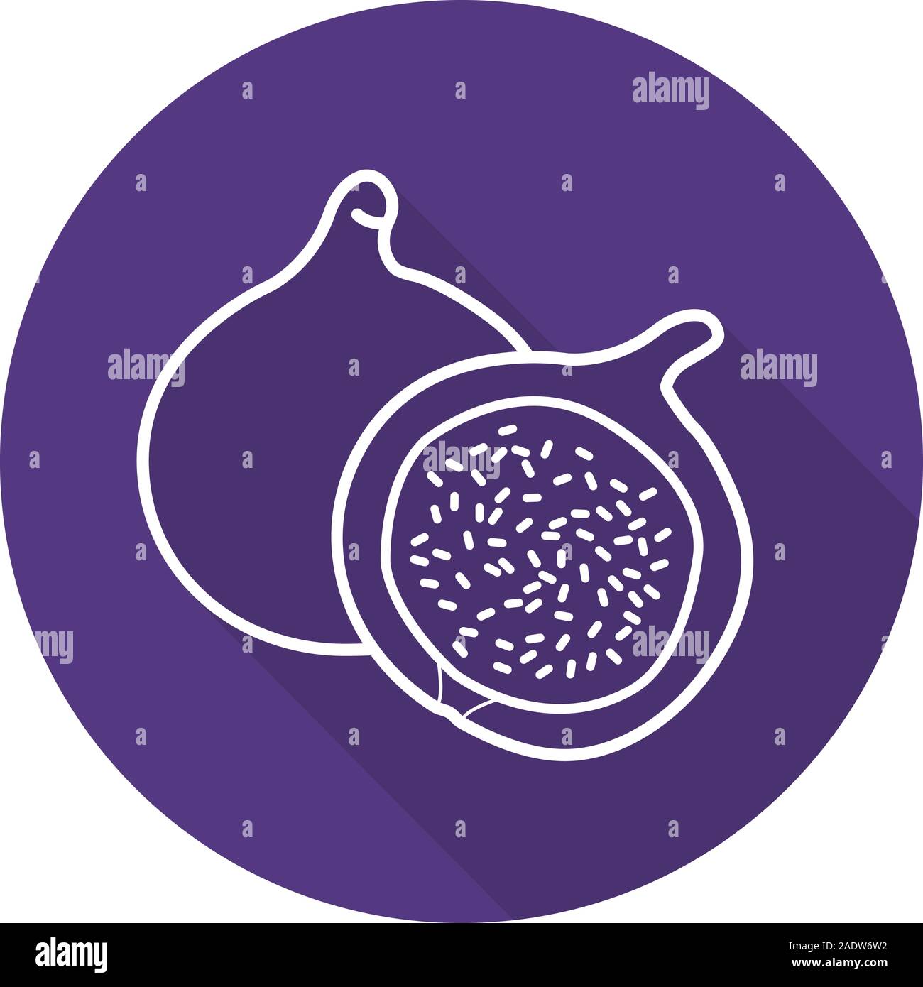 Fig flat linear long shadow icon. Vector line symbol Stock Vector Image ...