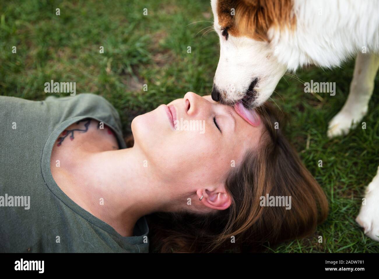 Cute Puppy Dog Is Licking The Face Of A Pretty Young Woman Outdoors Cute Puppy Dog Is Licking The Face Of A Pretty Young Woman Outdoors