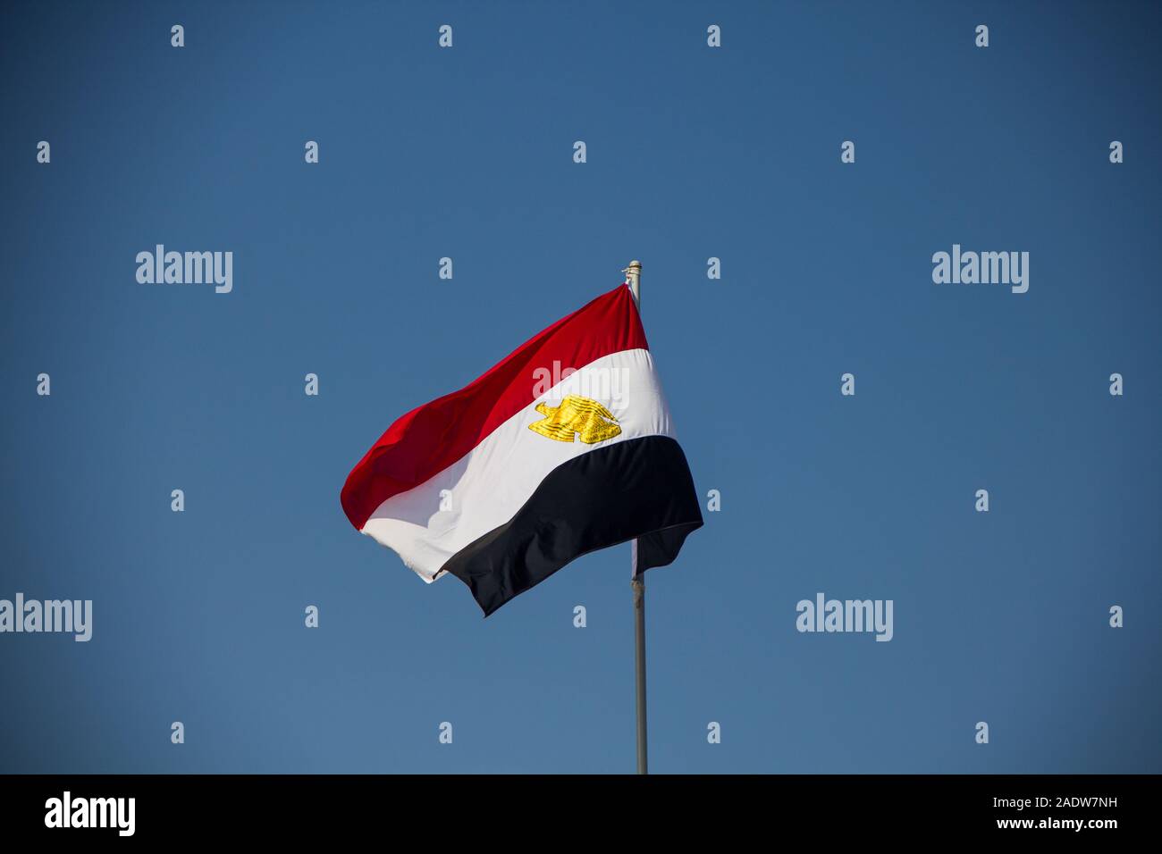egypt flag on blue background Stock Photo - Alamy