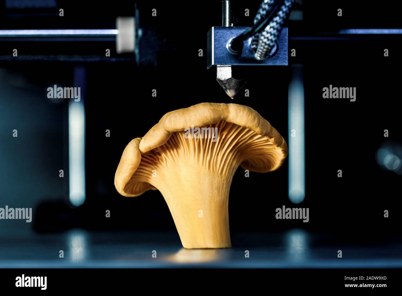 Modern famine hi-res stock photography and images - Alamy