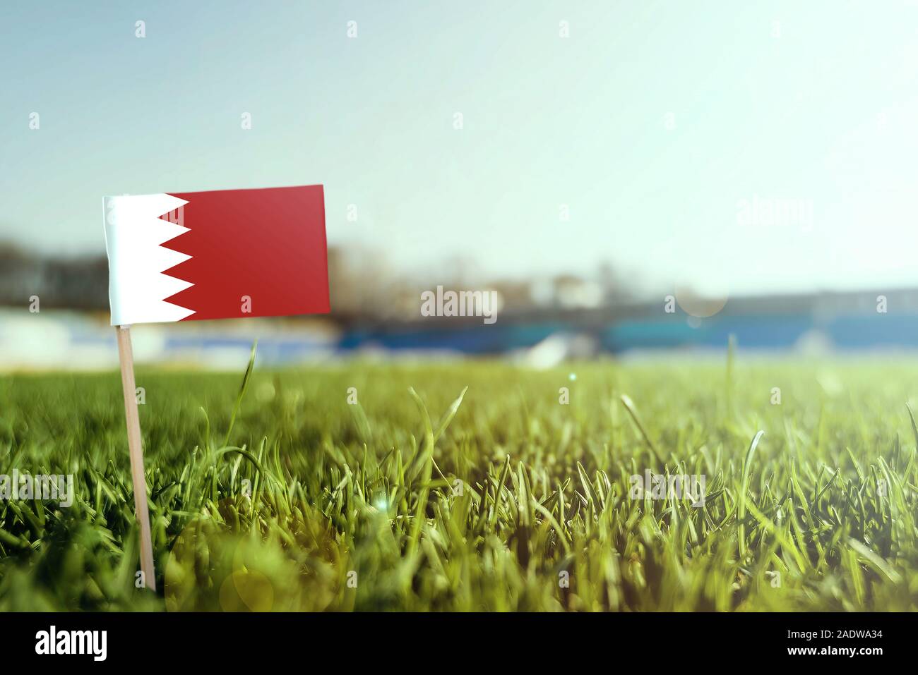 Miniature stick Bahrain flag on green grass, close up sunny field ...