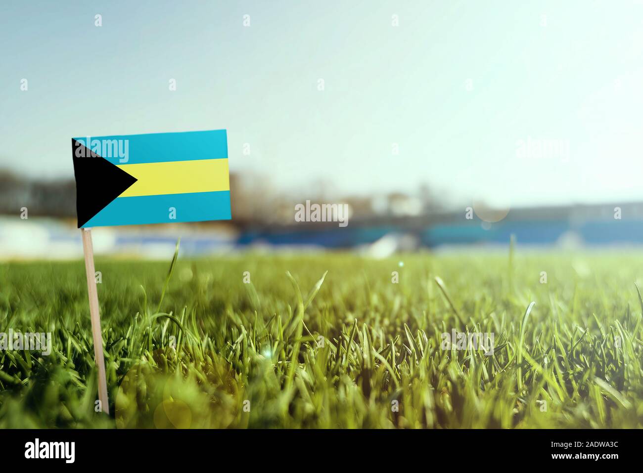 Miniature stick Bahamas flag on green grass, close up sunny field ...
