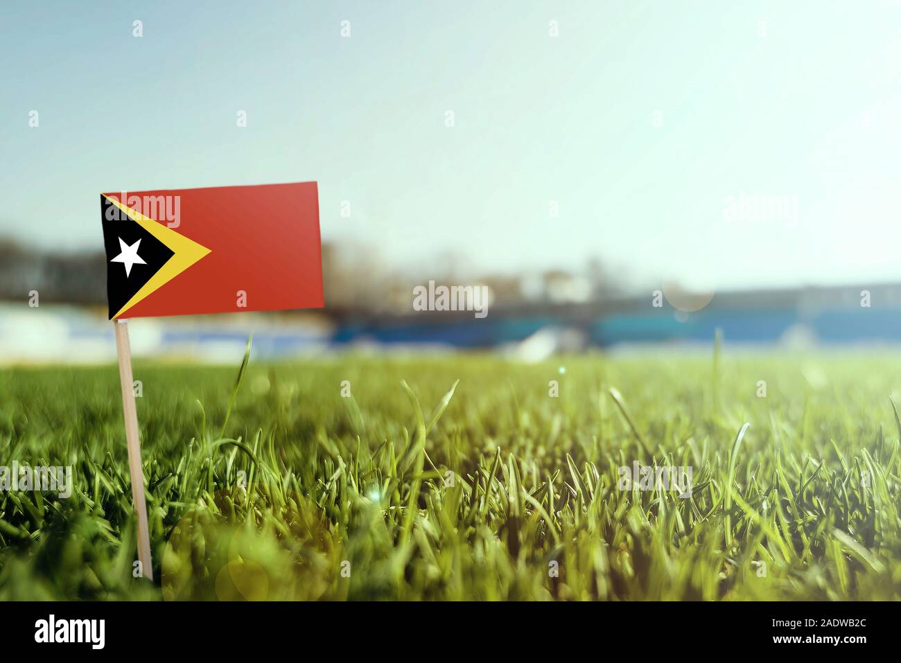 Miniature stick East Timor flag on green grass, close up sunny field ...