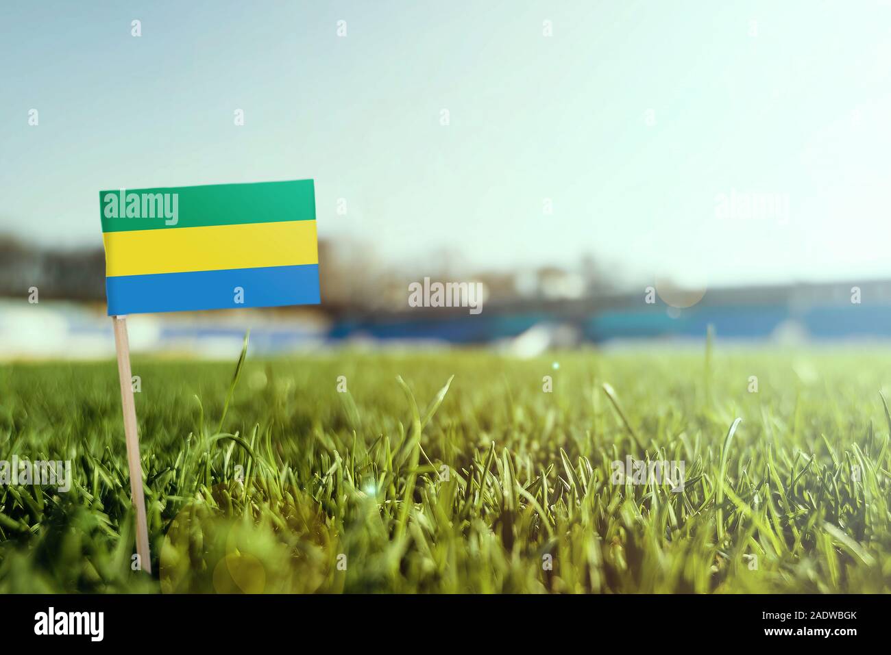 Miniature stick Gabon flag on green grass, close up sunny field ...