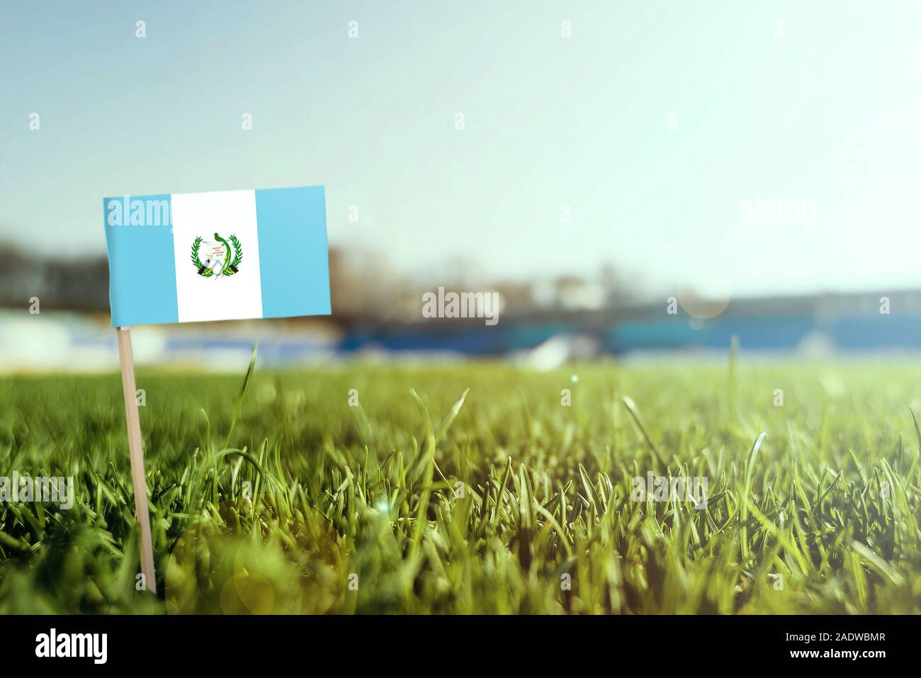 Miniature stick Guatemala flag on green grass, close up sunny field ...
