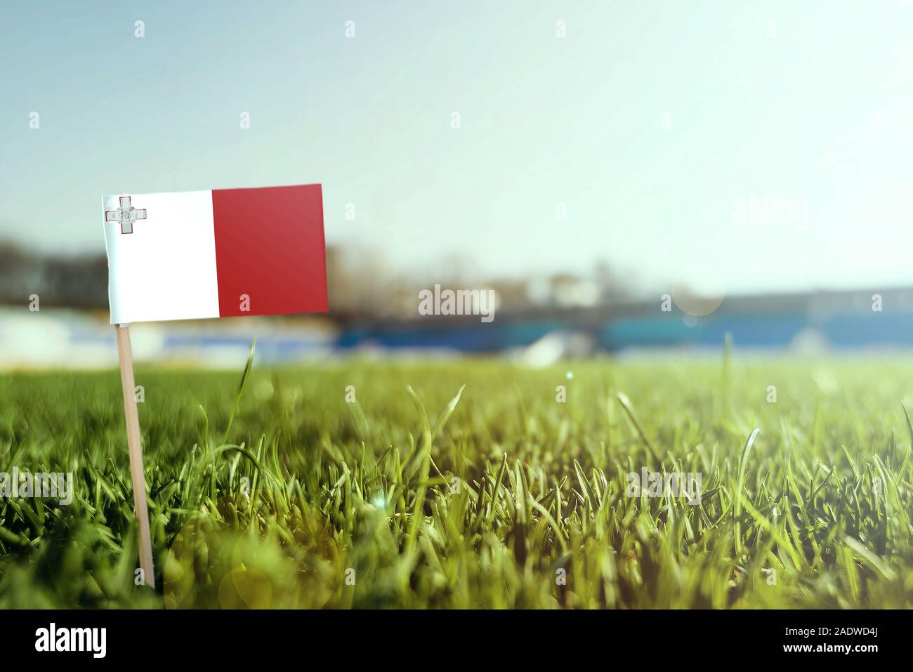 Miniature stick Malta flag on green grass, close up sunny field ...