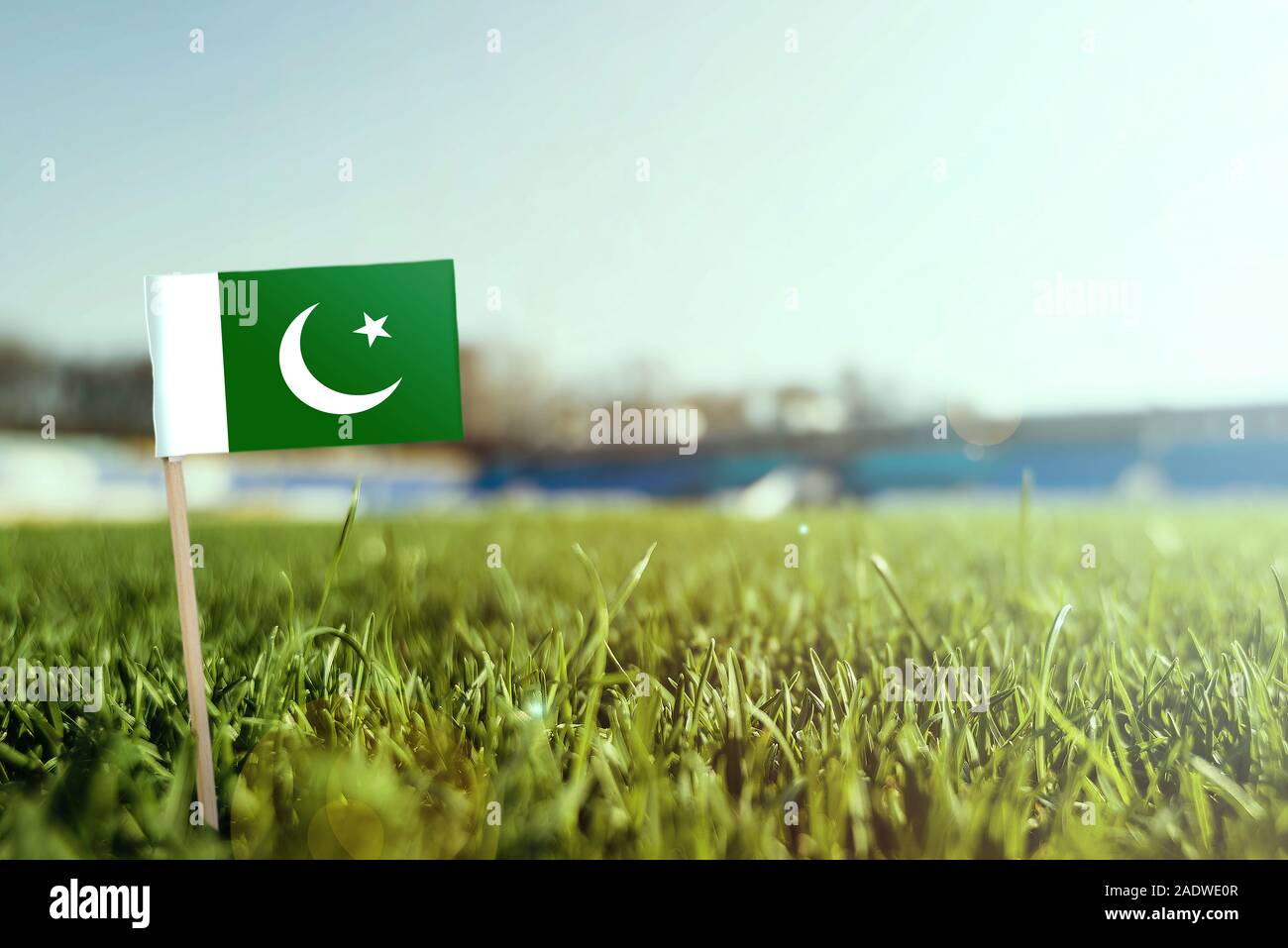 Miniature stick Pakistan flag on green grass, close up sunny field ...