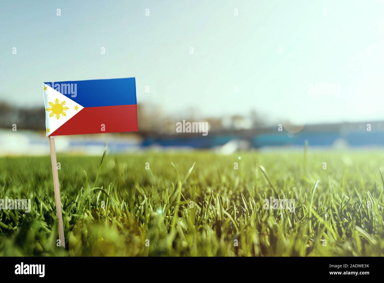 Miniature stick Philippines flag on green grass, close up sunny field ...