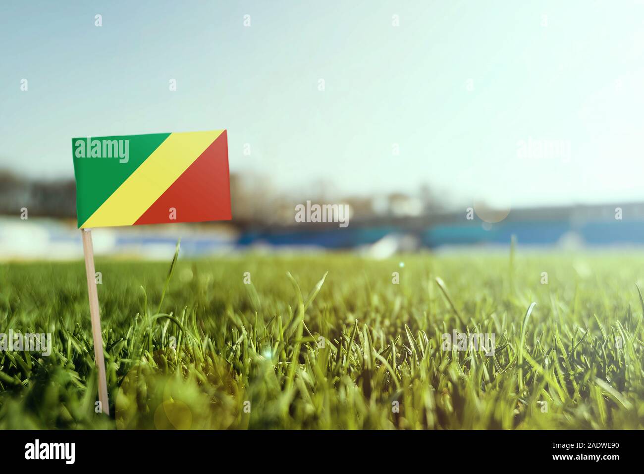 Miniature stick Republic Of The Congo flag on green grass, close up ...