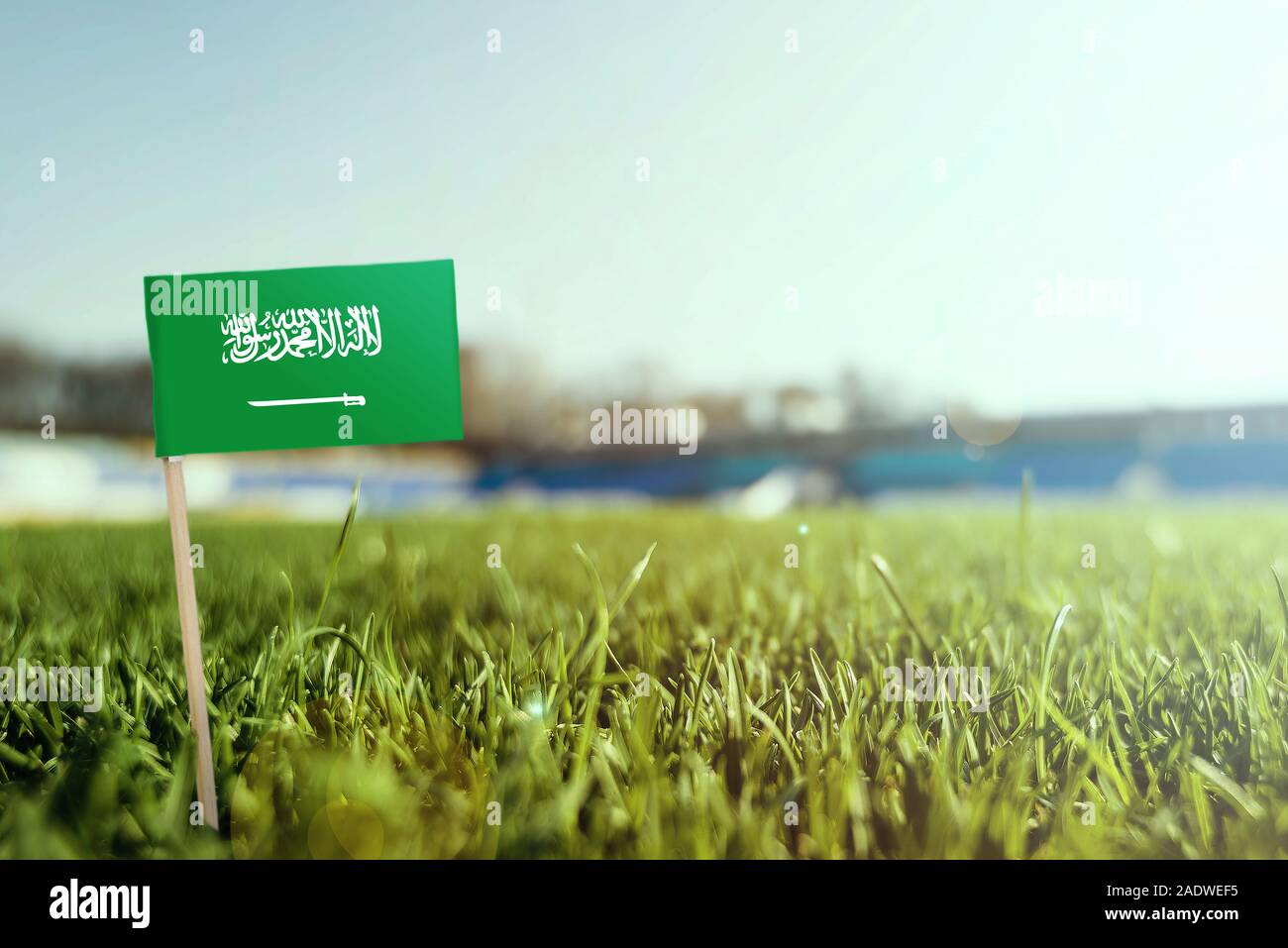 Miniature stick Saudi Arabia flag on green grass, close up sunny field ...