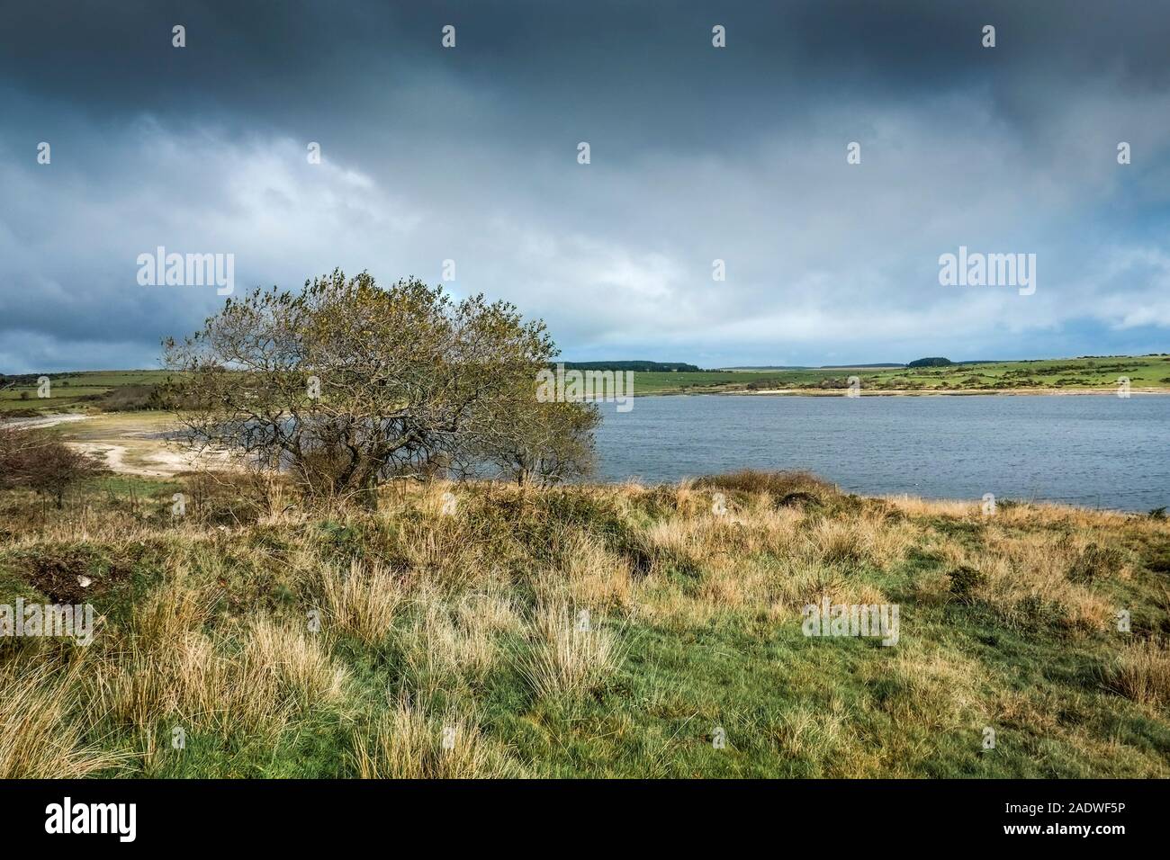 The windswept Colliford Lake on Bodmin Moor in Cornwall Stock Photo - Alamy