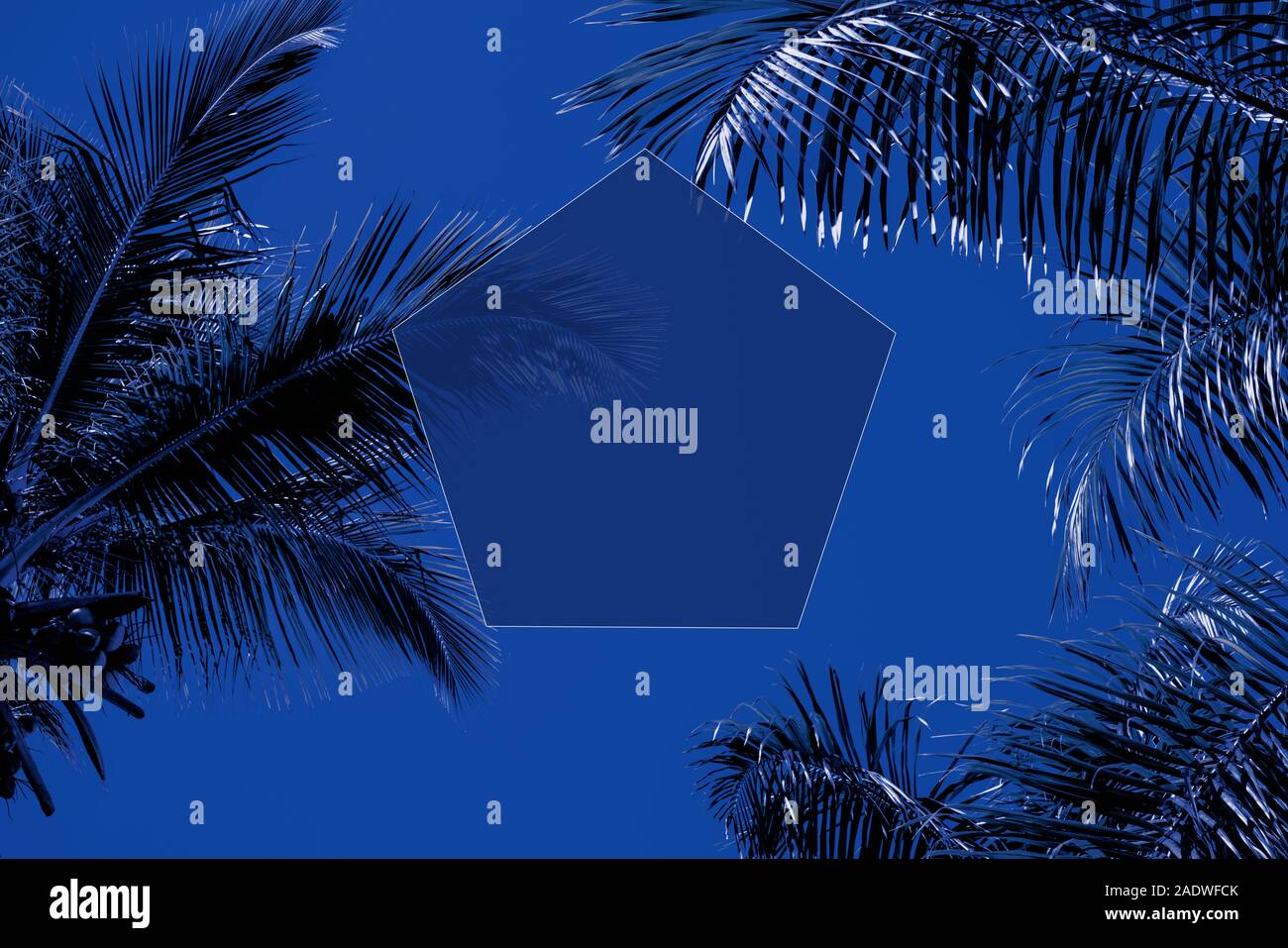 Palm trees background, monochrome blue style. Pentagon frame in the ...