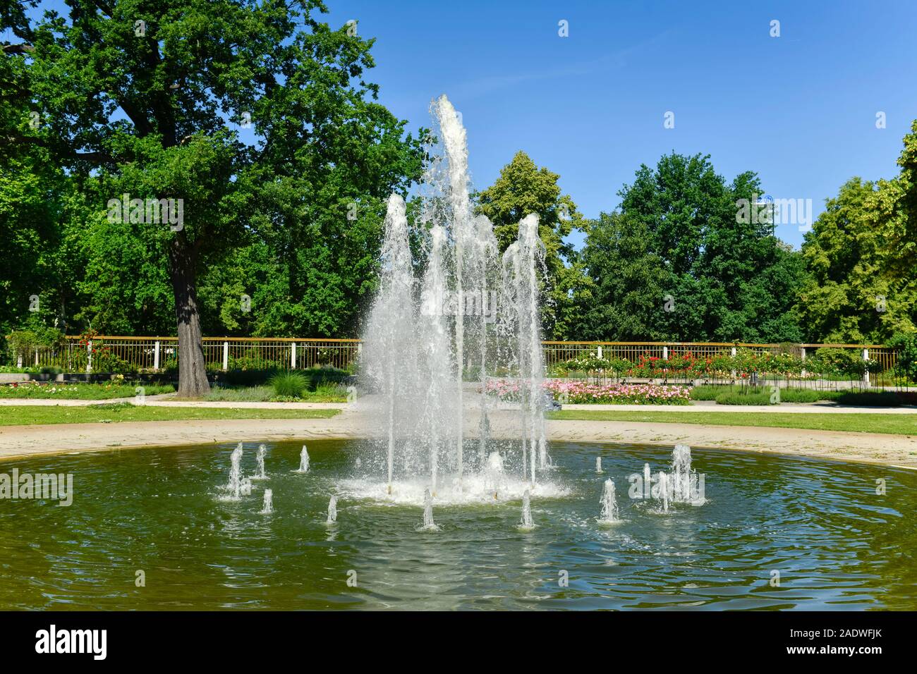 Springbrunnen im Rosengarten, Treptower Park, Treptow-Köpenick, Berlin ...