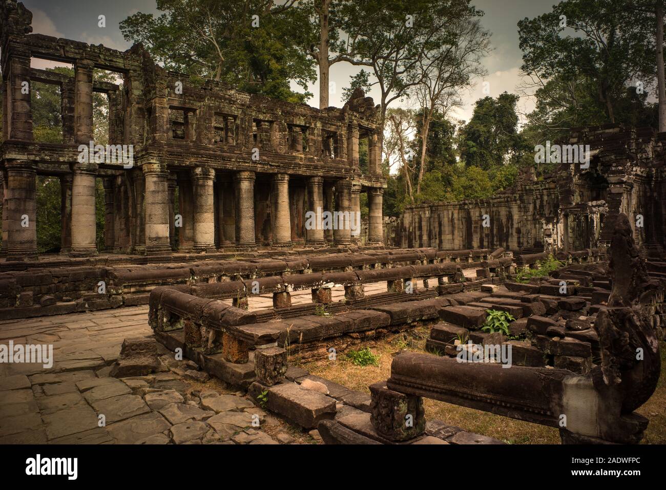 Ancient stone wall ruins, a temple in the middle of the exotic forest ...