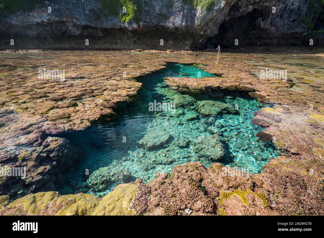 Avaiki rock tide pools, South Pacific, Niue Stock Photo - Alamy