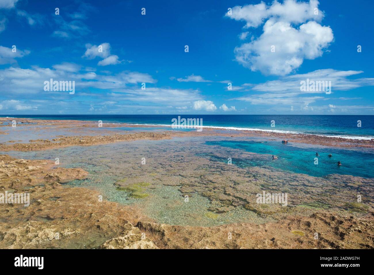 Tourists swimming in the amazing Limu low tide pools, South Pacific ...