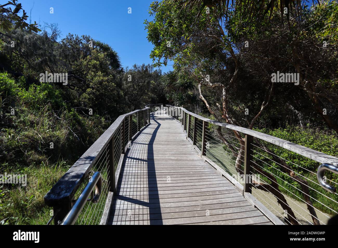 Clear path through trees hi-res stock photography and images - Alamy