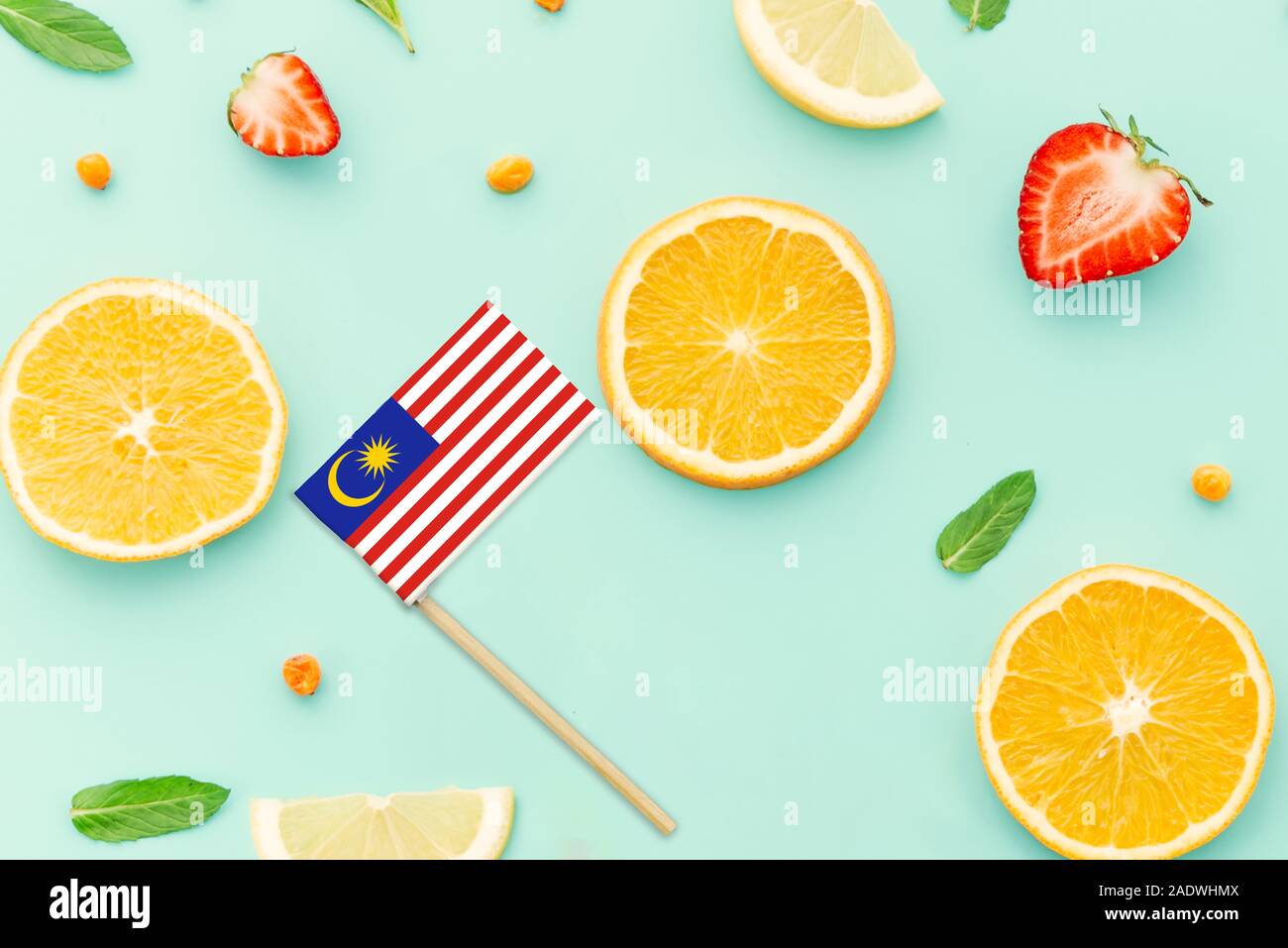Malaysia Paper Stick Flag. National summer fruits concept, local food ...