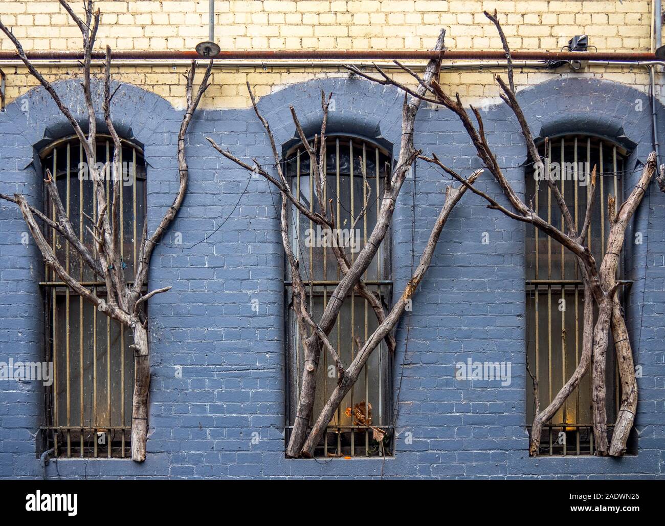 Windows with grilles decorated with dried wooden tree branches Stock ...