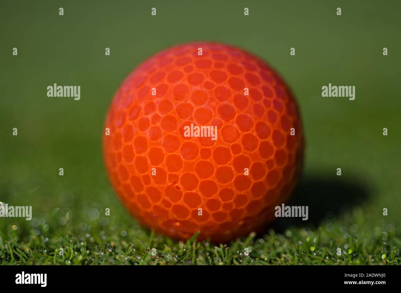 Red Golf Ball on the Wet Grass Stock Photo - Alamy