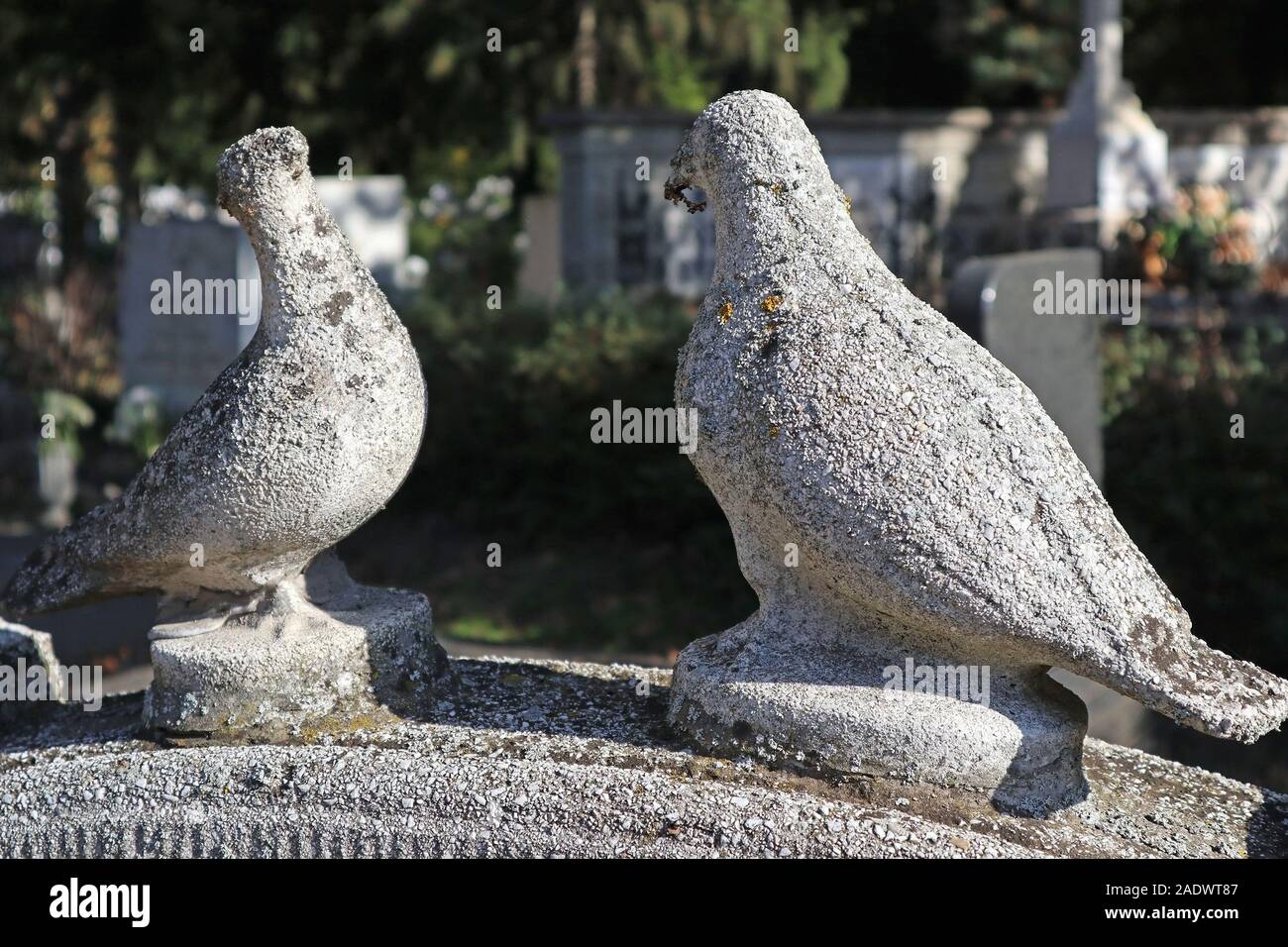 Dove statues on the tombstone in the public cemetery Stock Photo - Alamy