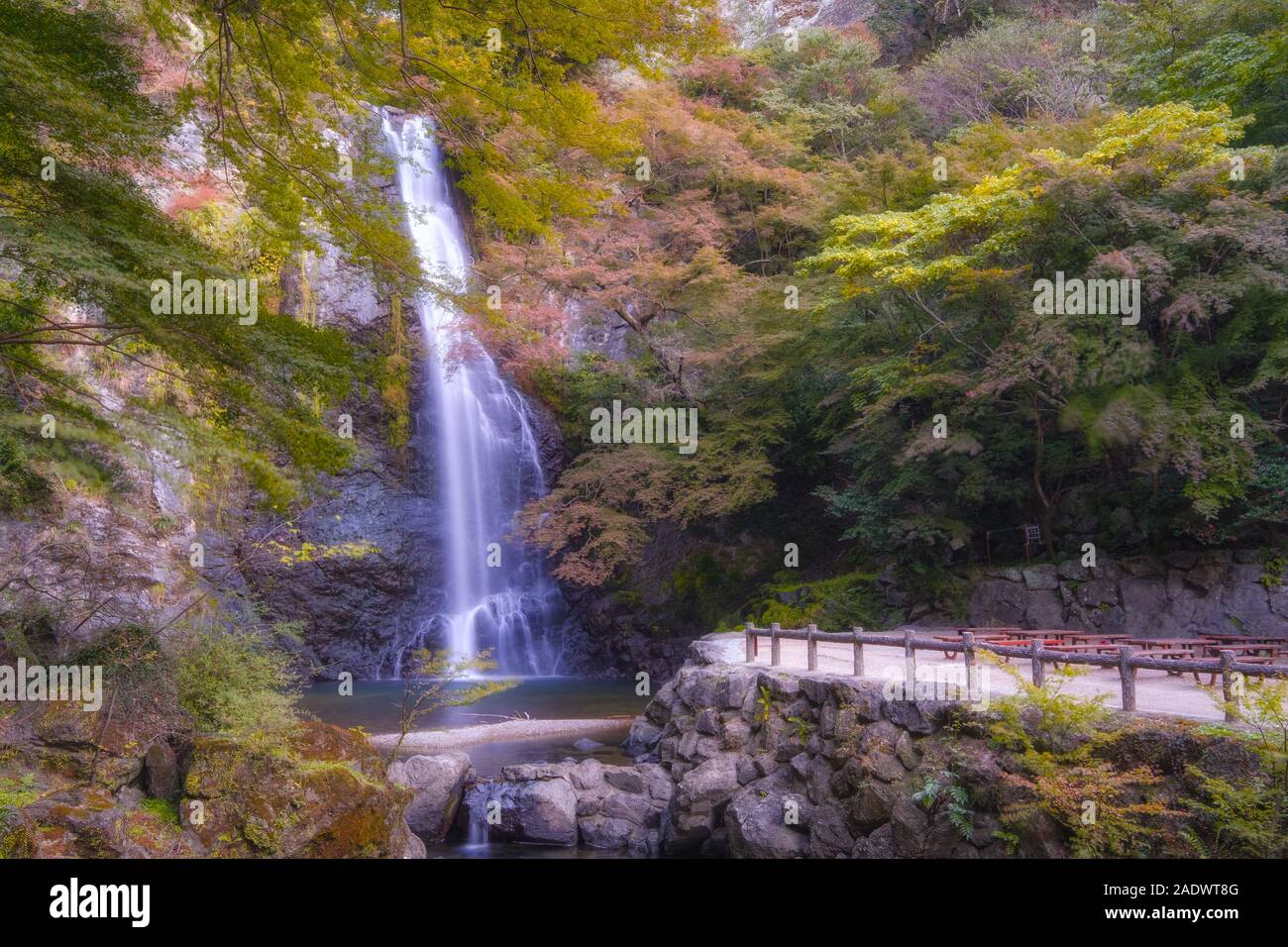 Minoo Waterfall in Colorful Autumn Season with Red Maple Leaf Fall ...