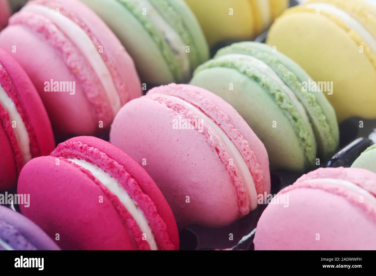 Fruit Macarons In A Plastic Tray Stock Photo - Alamy
