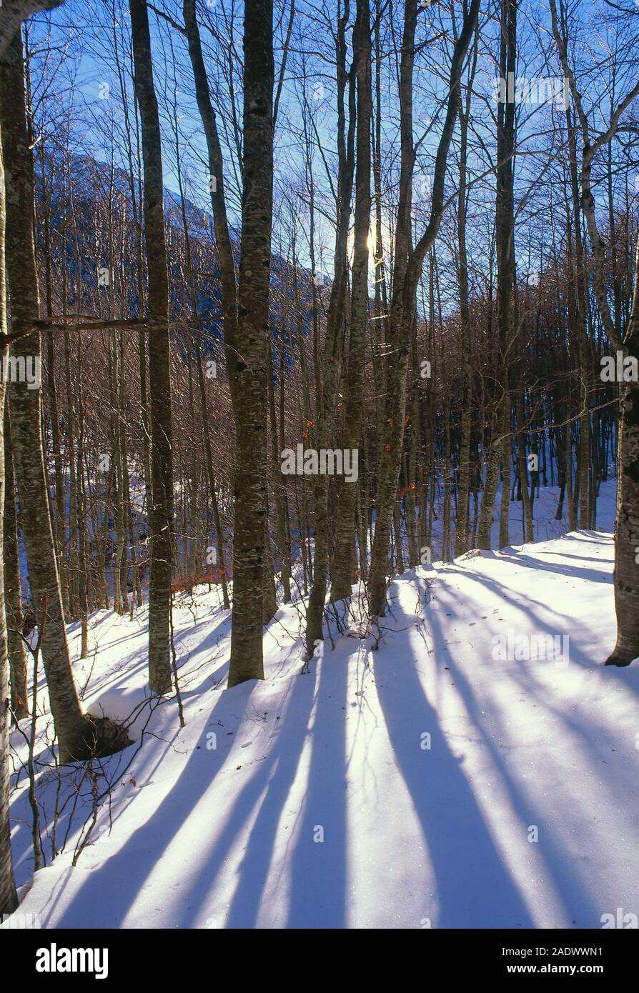 italy, lazio, settefrati, abruzzo national park, canneto valley Stock ...