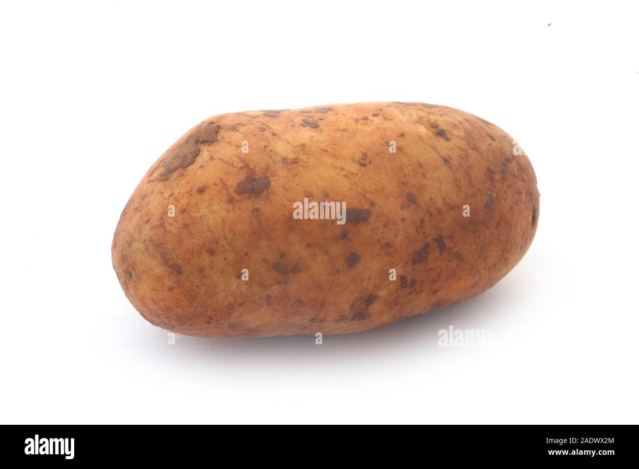 Raw Potato Isolated On White Stock Photo - Alamy