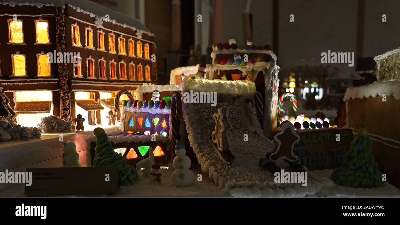 The Museum of Architecture's Gingerbread City 2019 . !00 architects ...