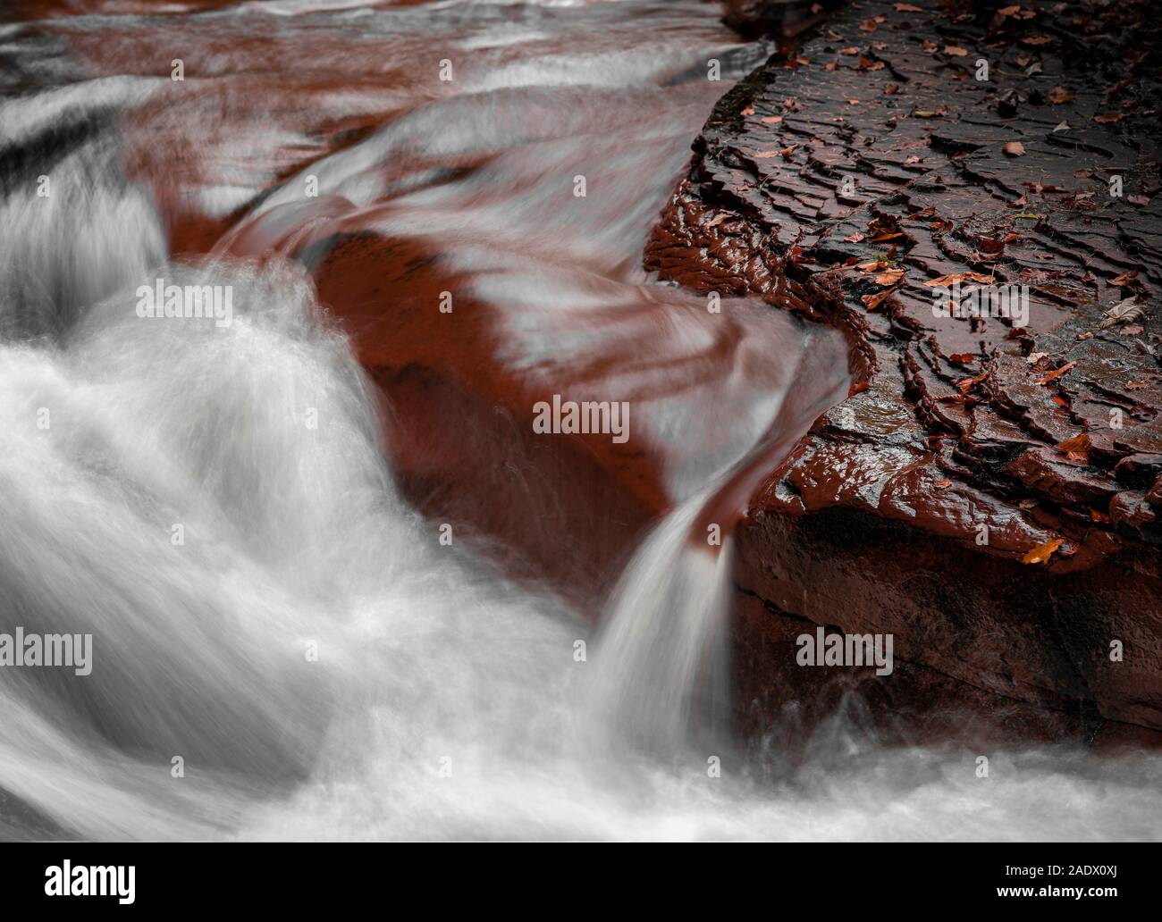 River leaf hi-res stock photography and images - Alamy