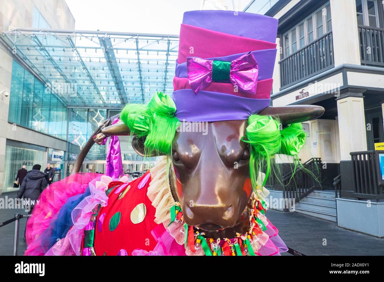 Birmingham bull dressed hi-res stock photography and images - Alamy