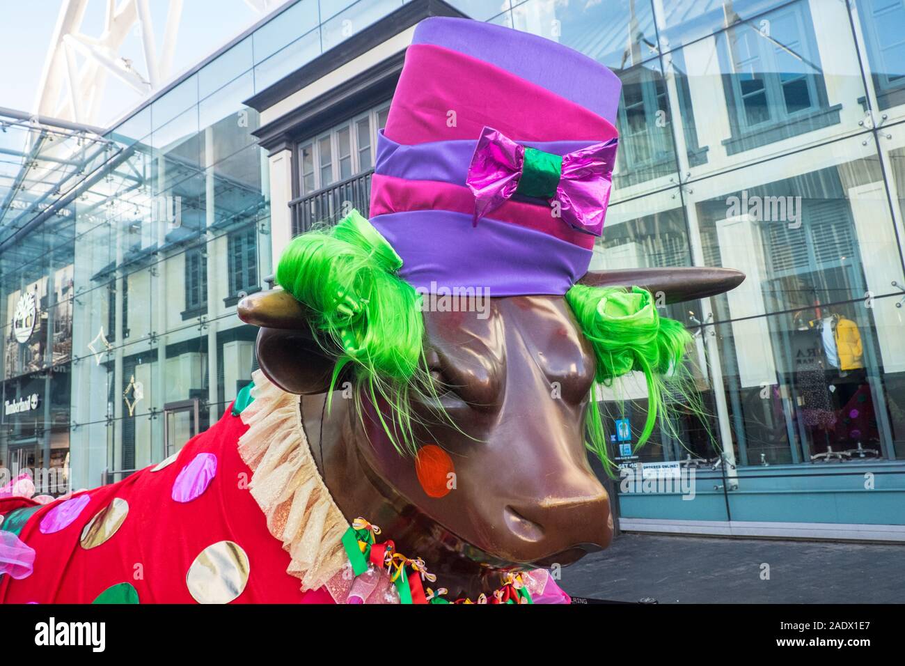 Birmingham bull dressed hi-res stock photography and images - Alamy