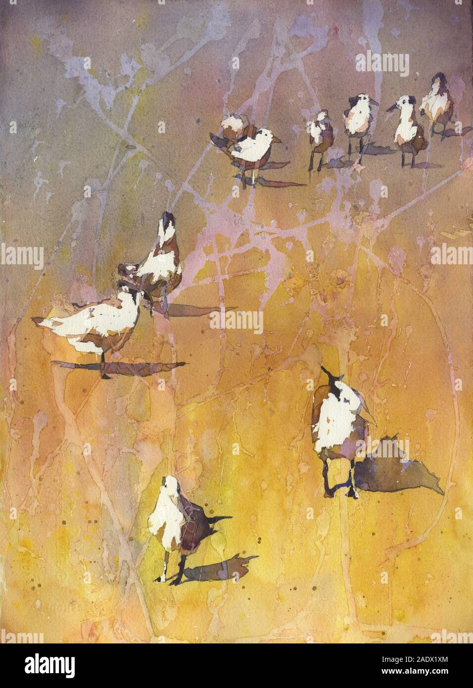 Watercolor Birds High Resolution Stock Photography and Images - Alamy