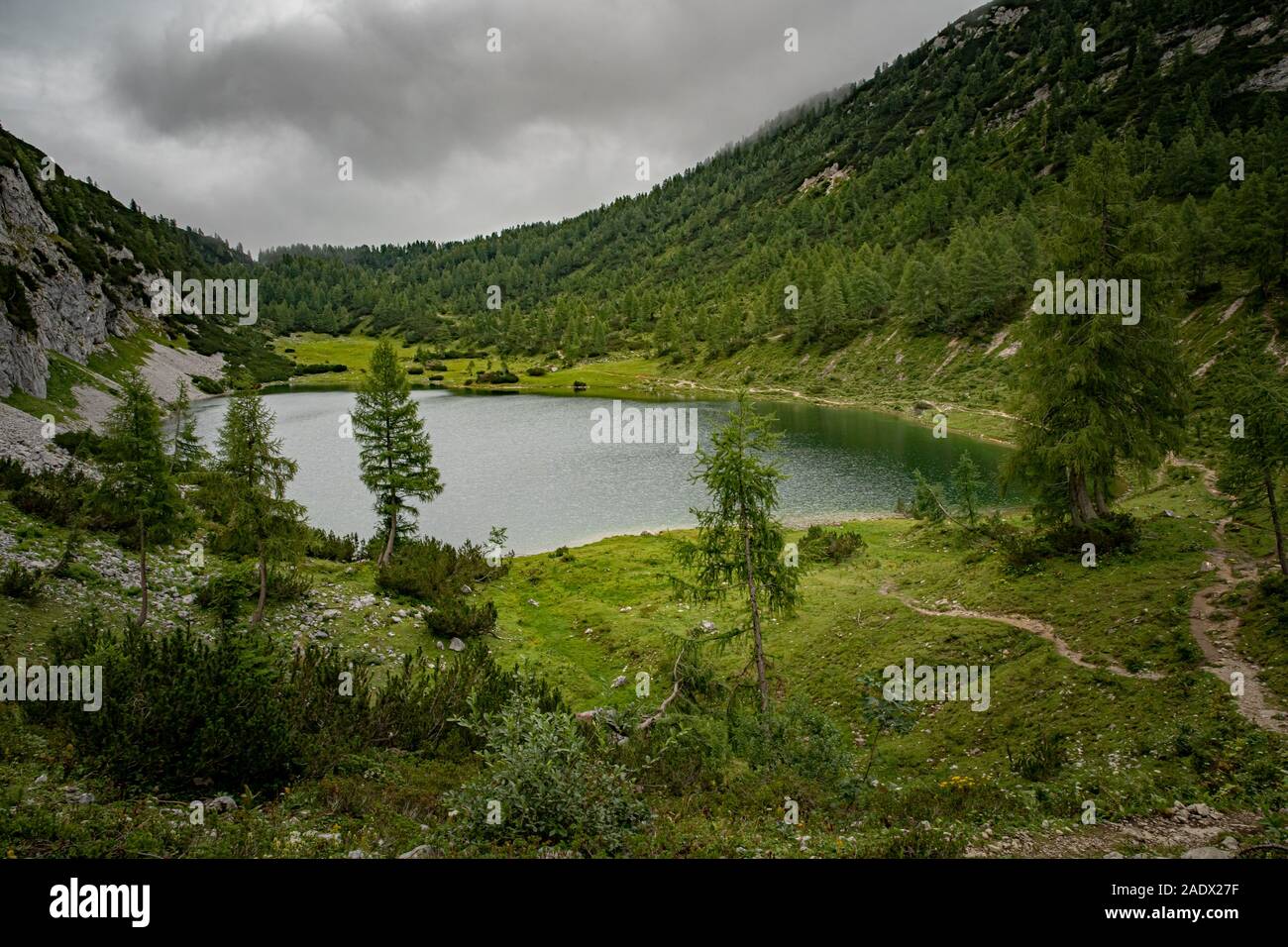 hikers in the austrian alps walk on mountain hiking trails in the woods ...