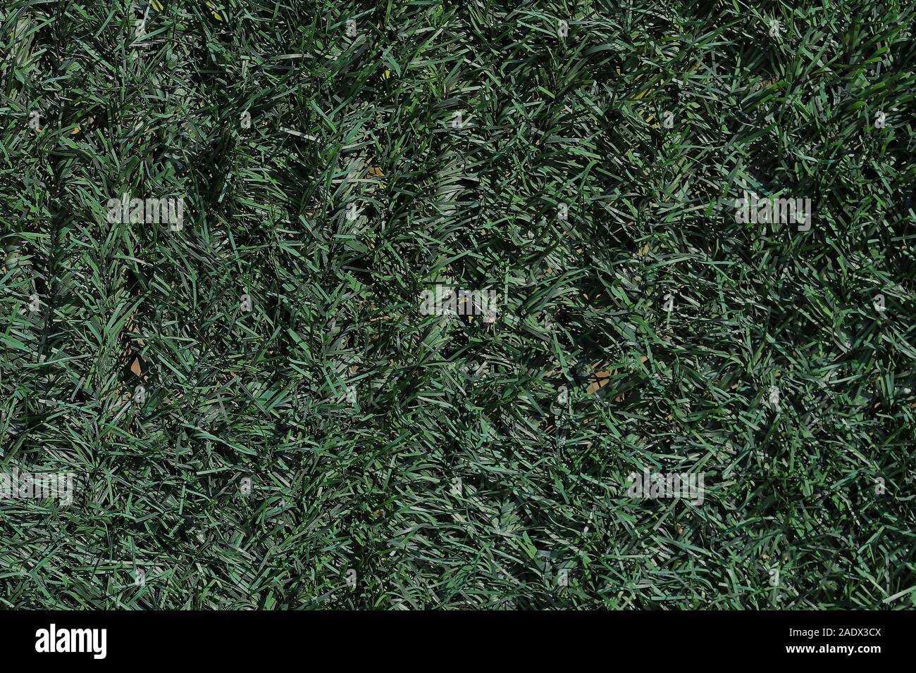 Green artificial green grass texture pattern background Stock Photo - Alamy