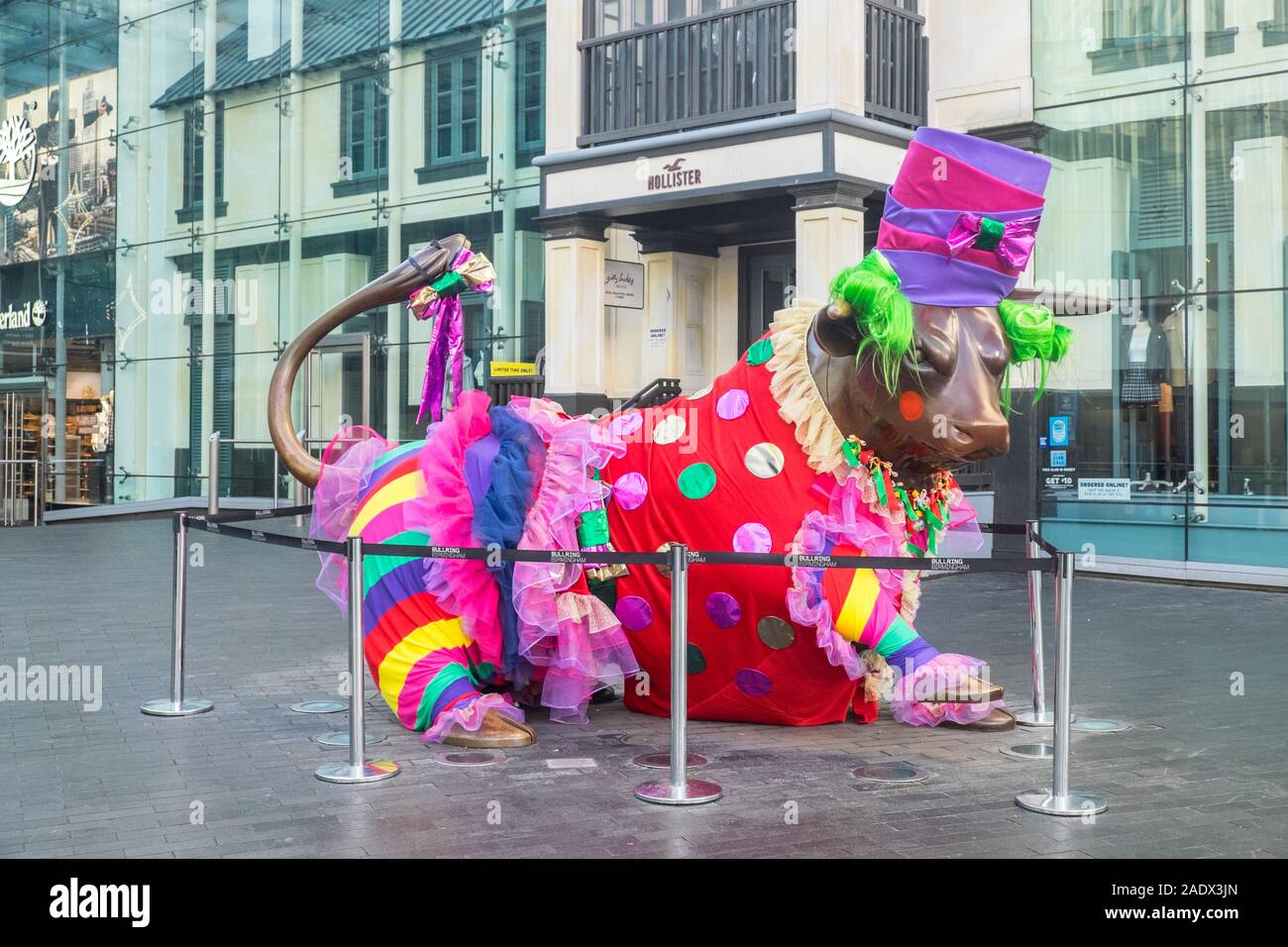 Birmingham bull dressed hi-res stock photography and images - Alamy
