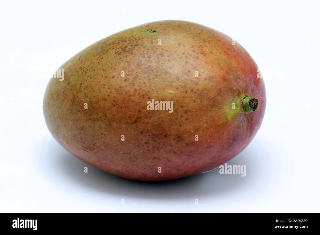 Raw mango fruit hi-res stock photography and images - Alamy
