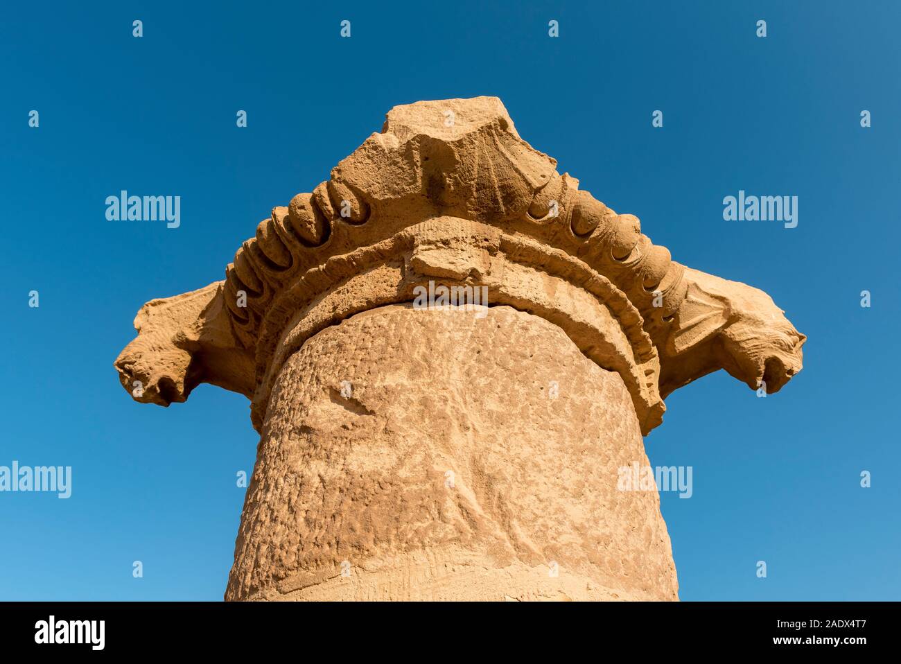 Column at the Great Temple of Petra, Jordan Stock Photo - Alamy