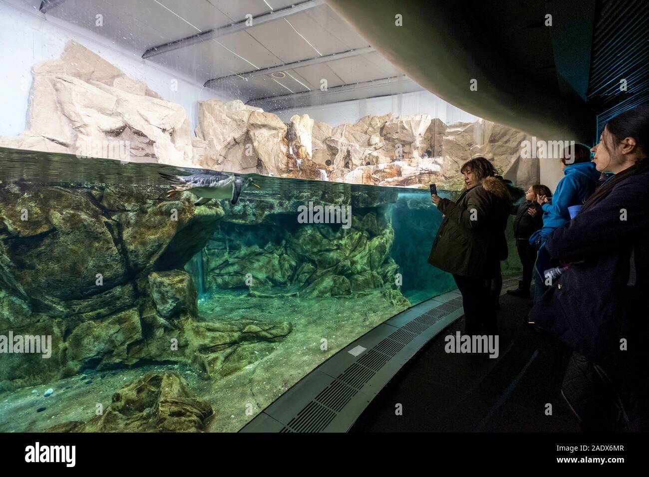 Acquario di Genova - Aquarium of Genoa, Genova, Italy, Europe Stock ...